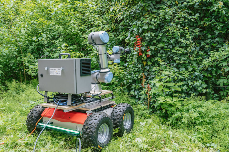 יודע חקלאי פיקח - AVmaster מגזין המולטימדיה